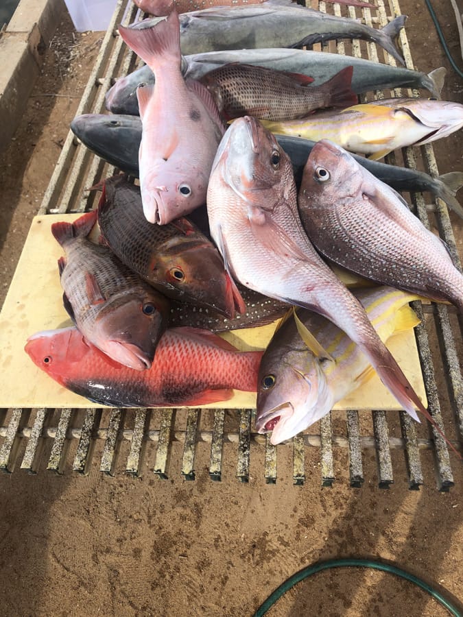 Carnarvon Retreat | Carnarfin Fishing