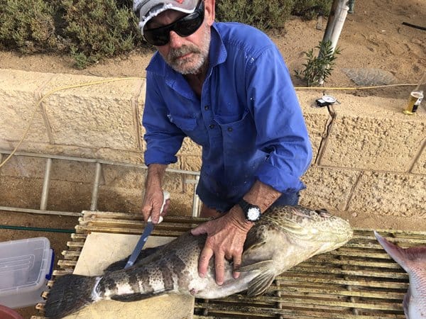 Carnarvon Retreat | Carnarfin Fishing