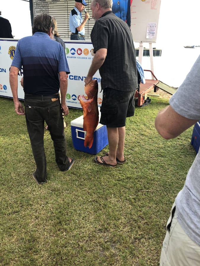 Carnarvon Retreat | Carnarfin Fishing