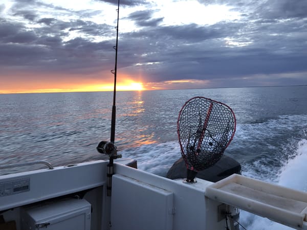 Carnarvon Retreat | Carnarfin Fishing