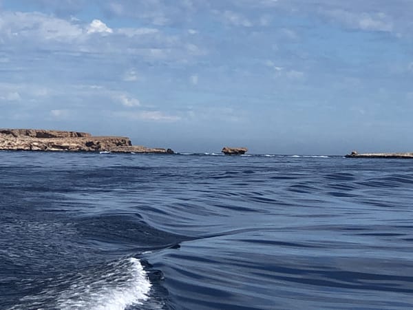 Carnarvon Retreat | Carnarfin Fishing