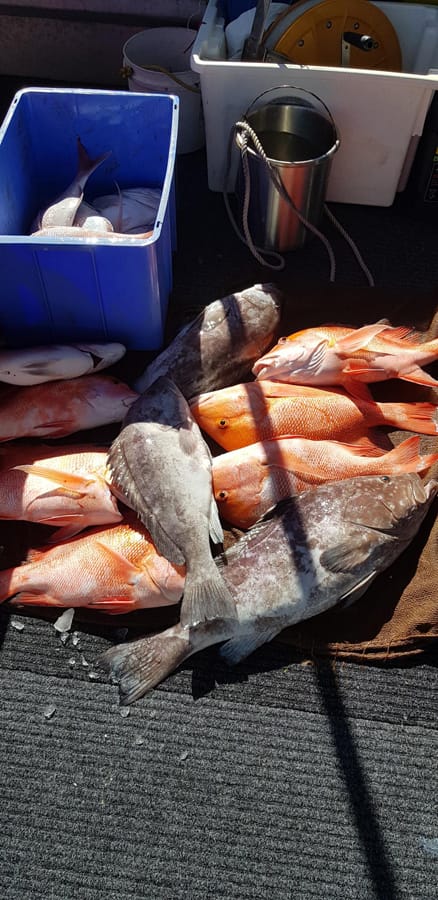 Carnarvon Retreat | Carnarfin Fishing